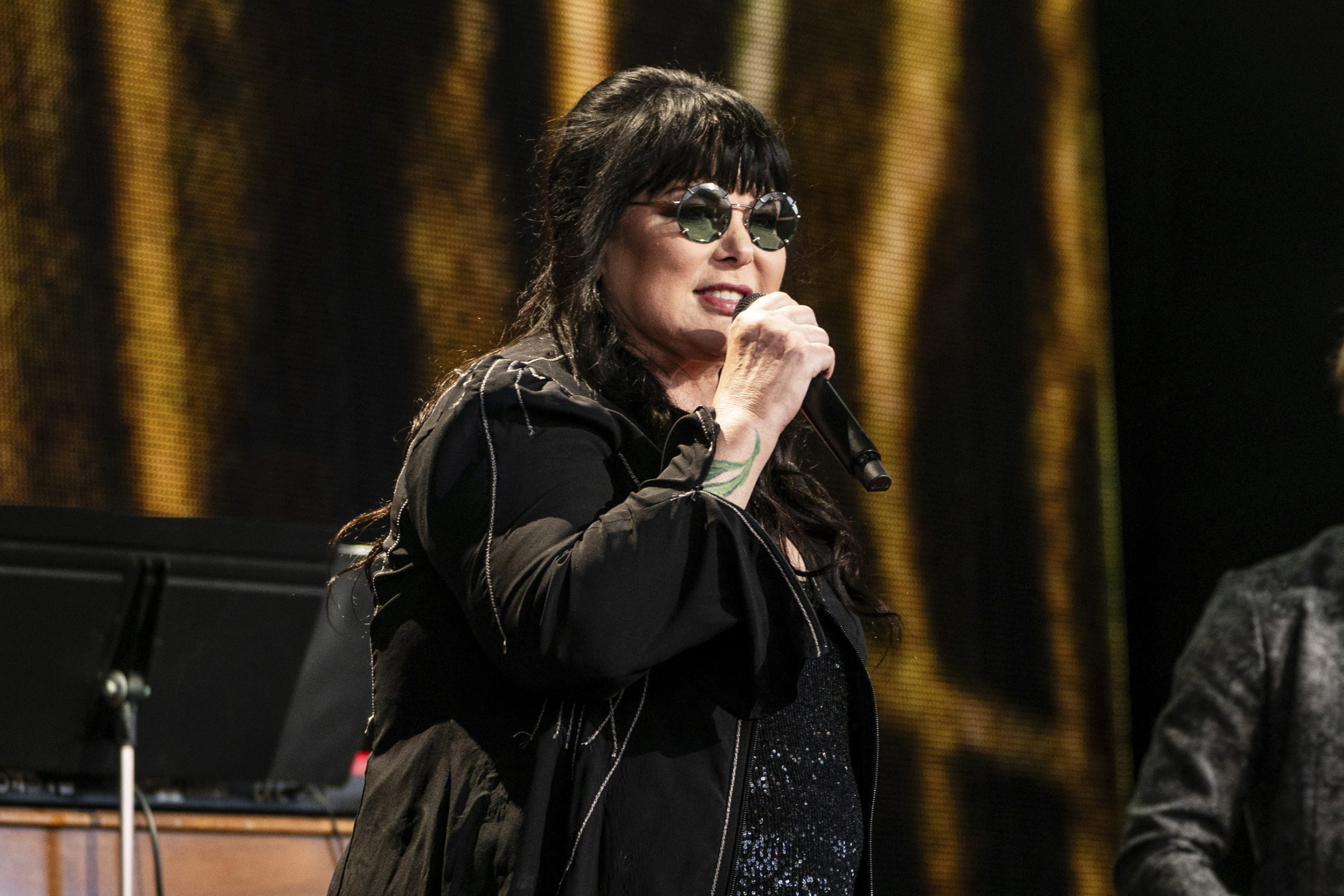 Ann Wilson Announces Cancer Diagnosis Postpones Heart Tour