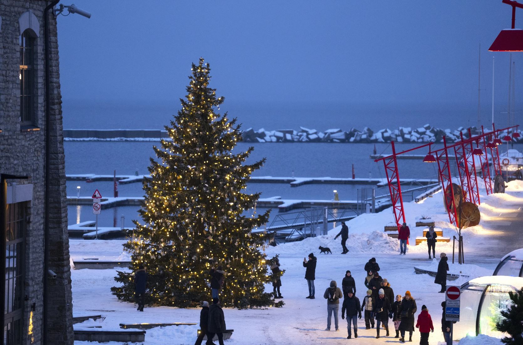 Estonia, an early country to introduce Christmas trees, celebrates the ...