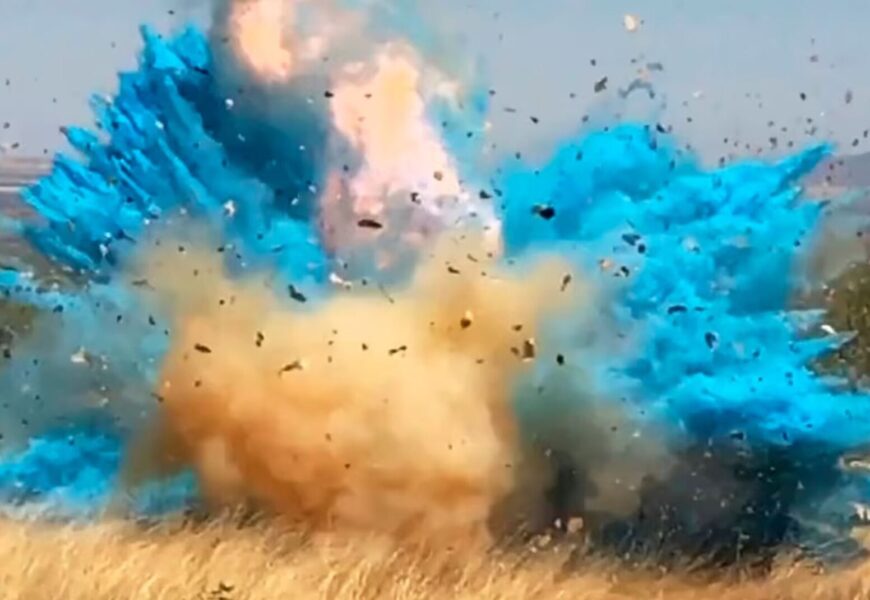 Father in Gender-Reveal That Sparked Fatal California Wildfire Pleads ...