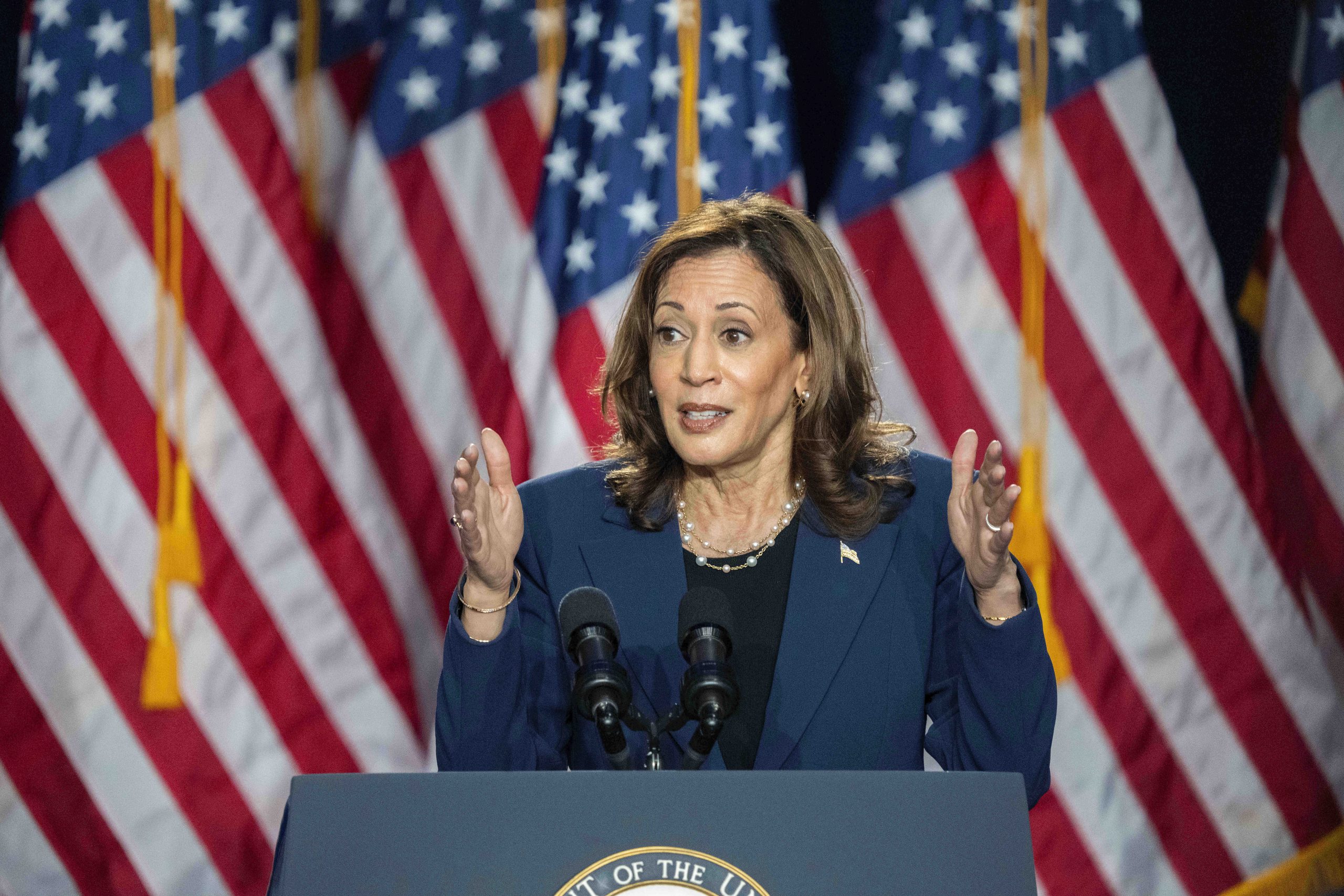 Harris calls Trump's false claims about race 'the same old show' of ...