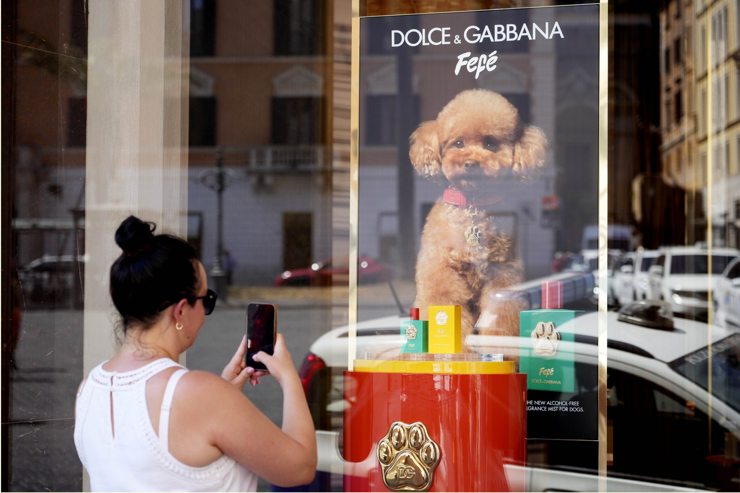 Dolce & Gabbana launches a new perfume for dogs, but some vets and pet ...