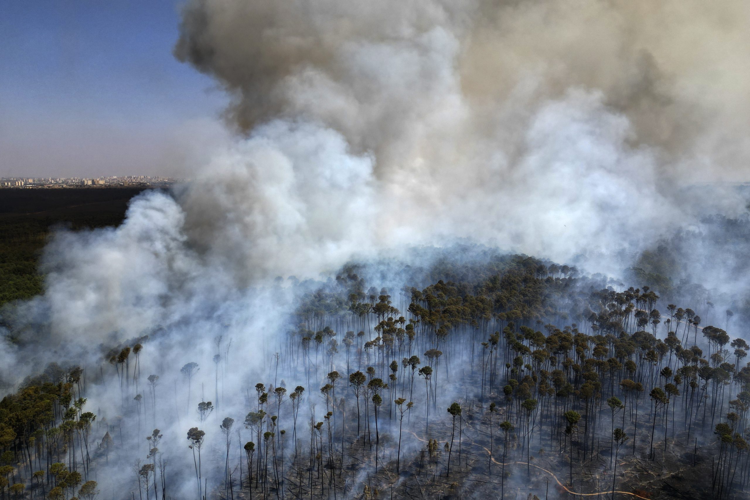 Amid the worst drought in Brazil history, wildfires rage and the Amazon ...