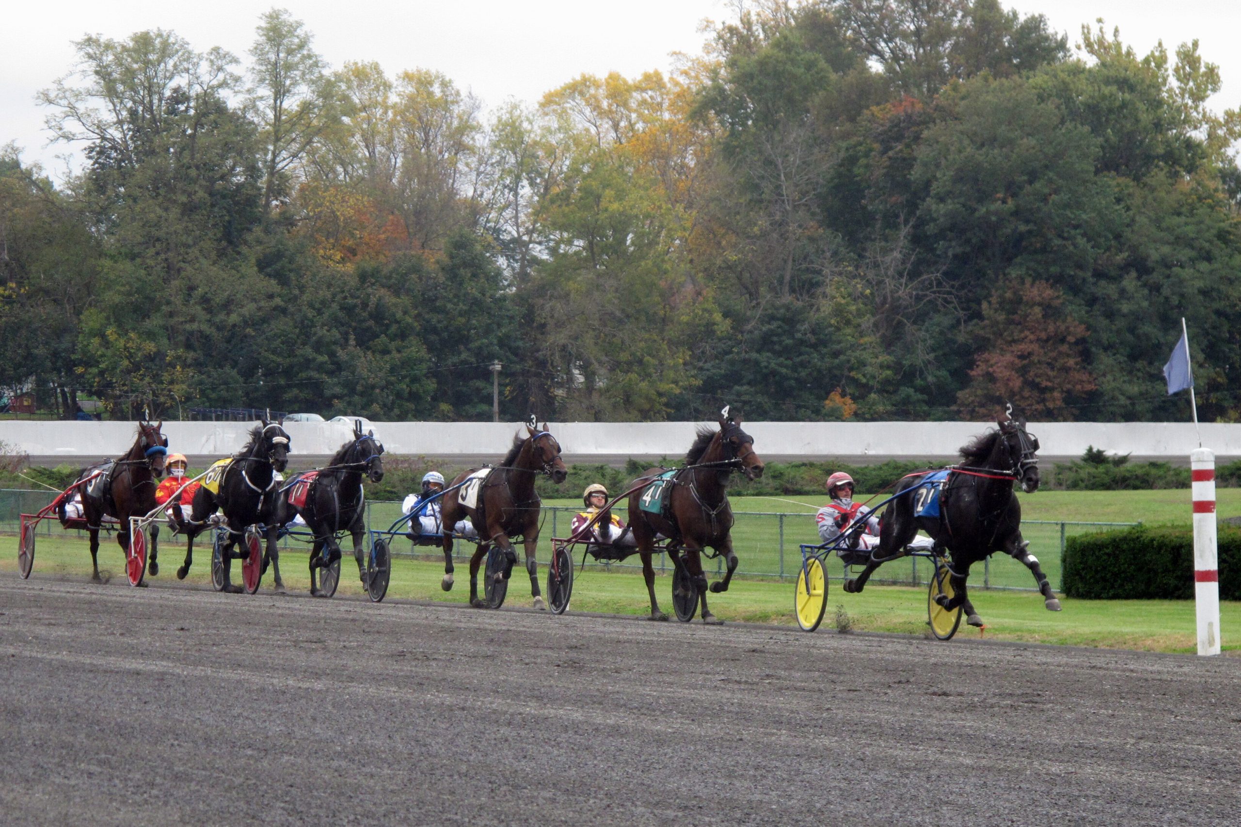 Oldest horse racing track in US is closing. Freehold Raceway shutting ...