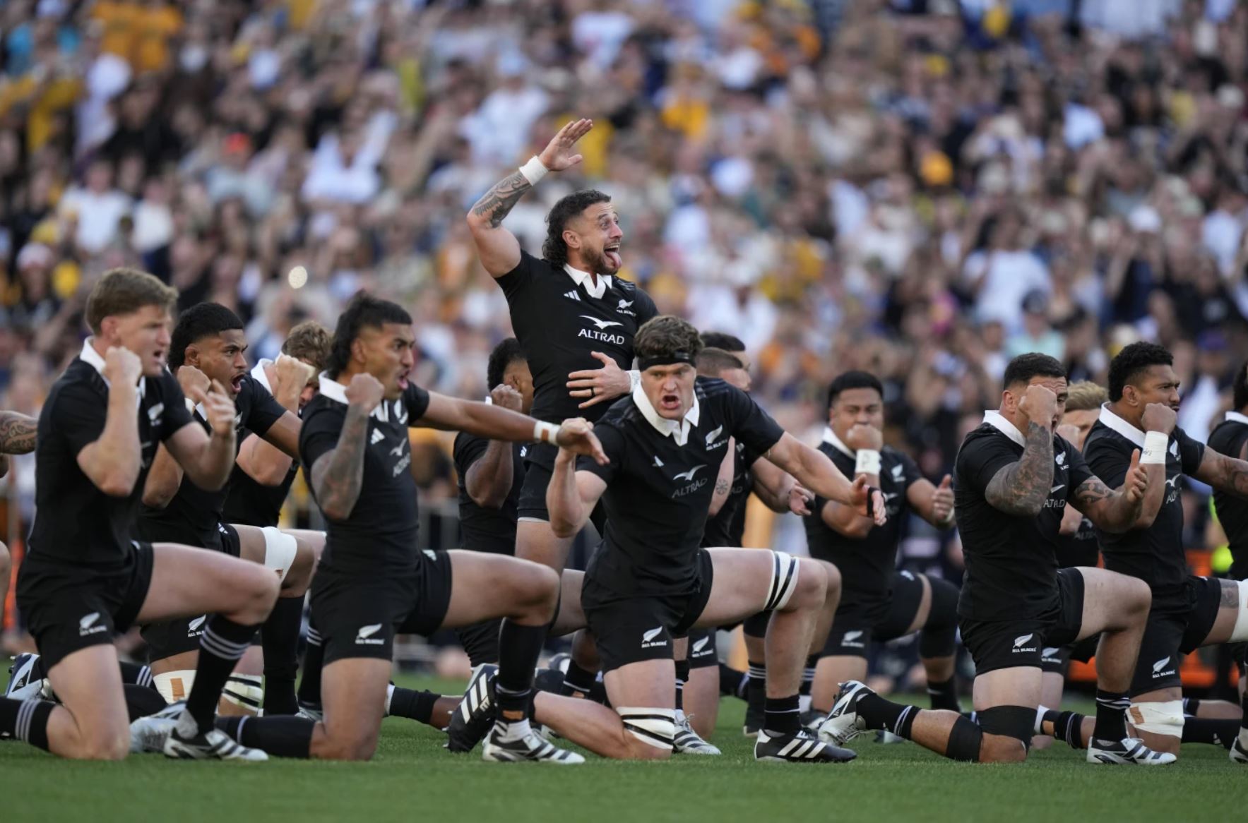 All Blacks hold on with 13 men to beat Wallabies 31-28 and retain ...