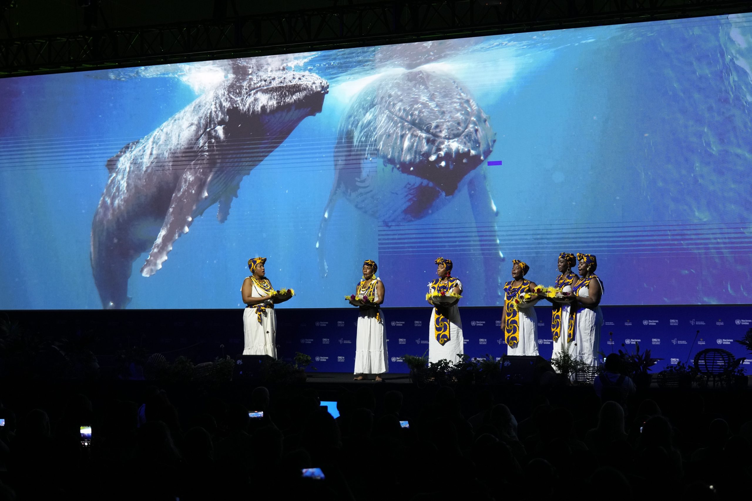 Environmental delegates gather in Colombia for a conference on ...