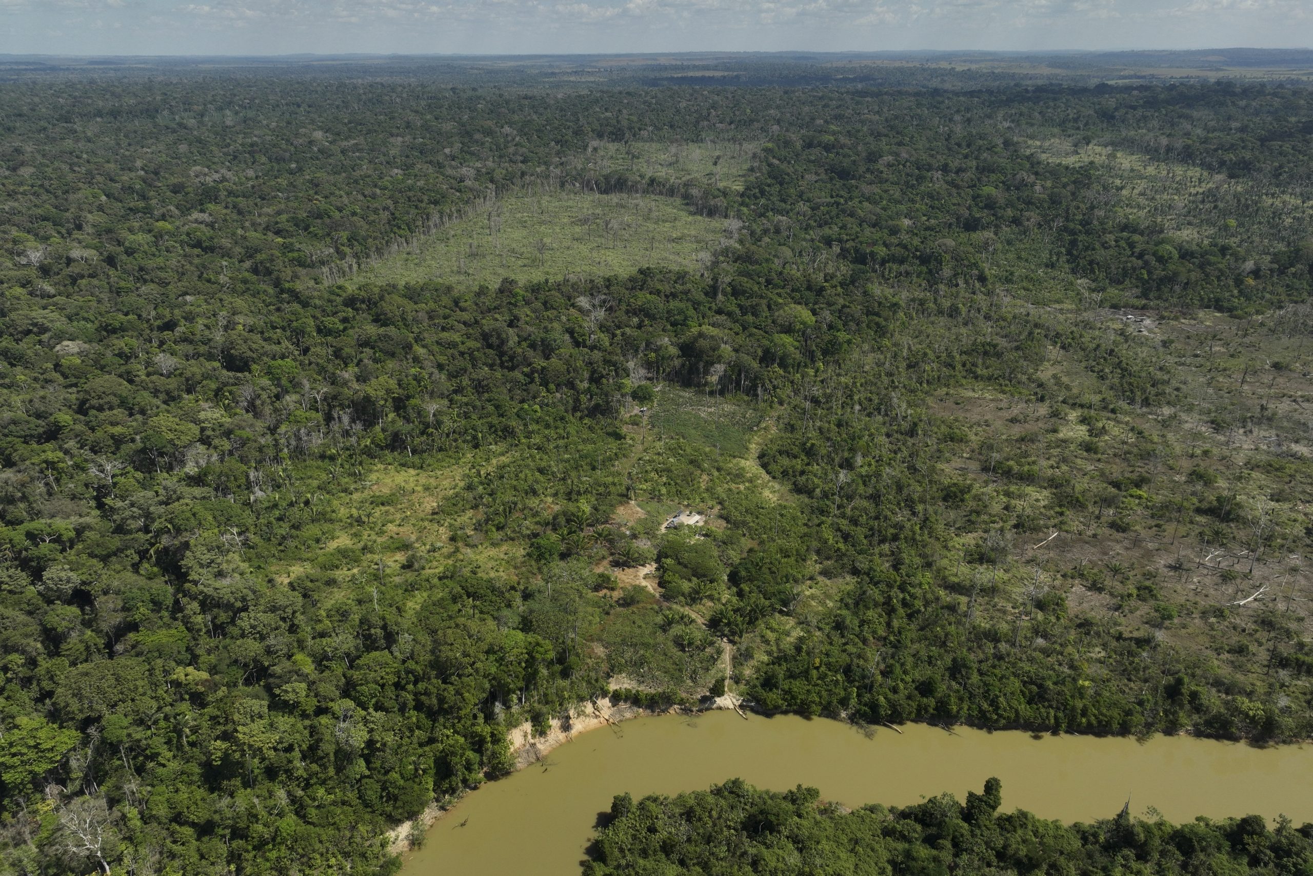 Deforestation in Brazil's Amazon drops by nearly 31% compared to ...
