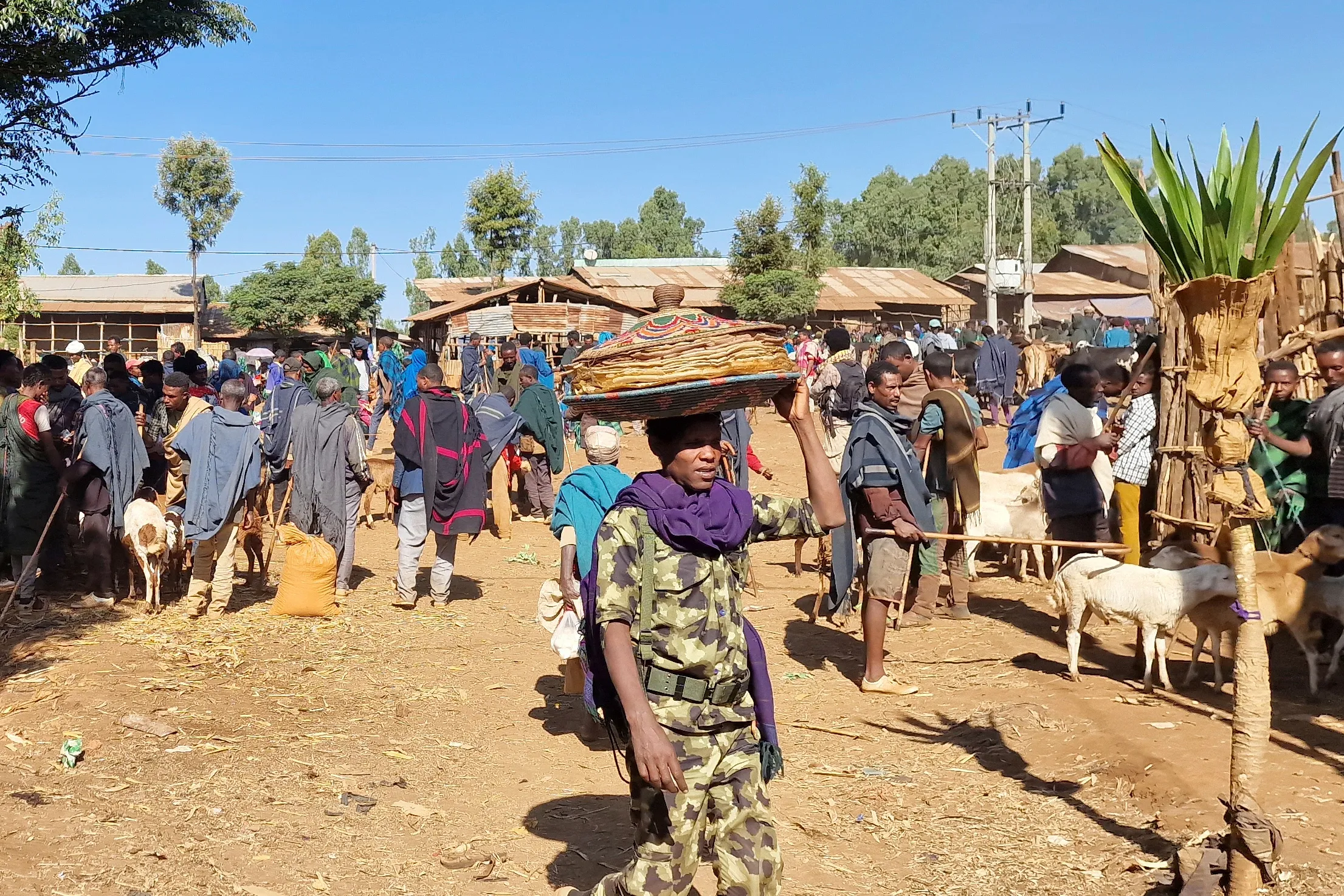 Is Ethiopia at war again? A look at the rebellion in one of its most ...