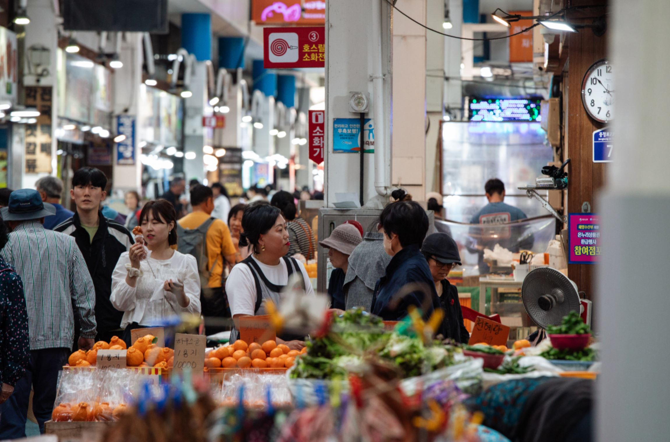 Seven reasons to visit South Korea in 2025 – News.net