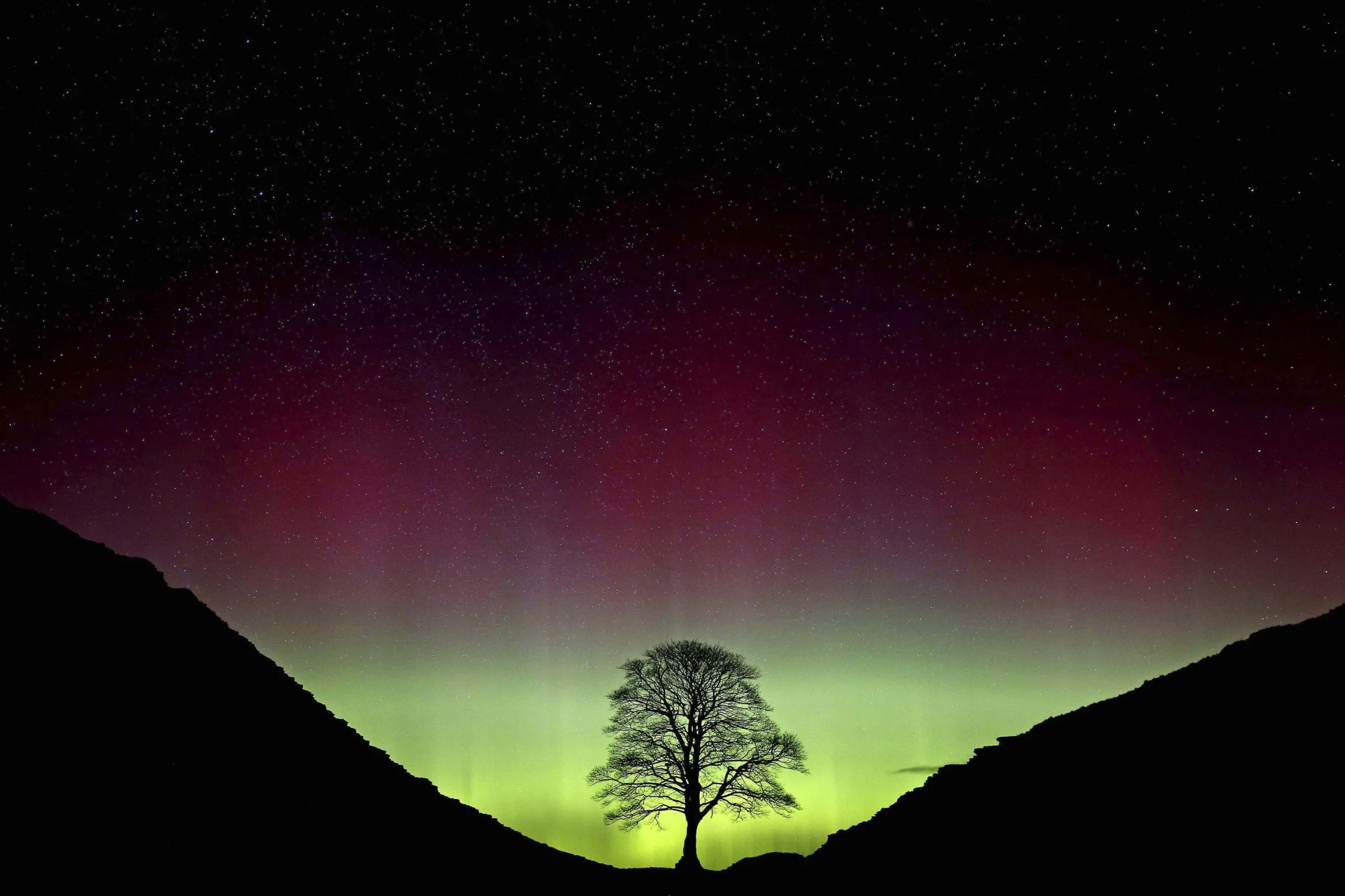 Men who cut down England’s beloved Sycamore Gap tree sentenced to more ...