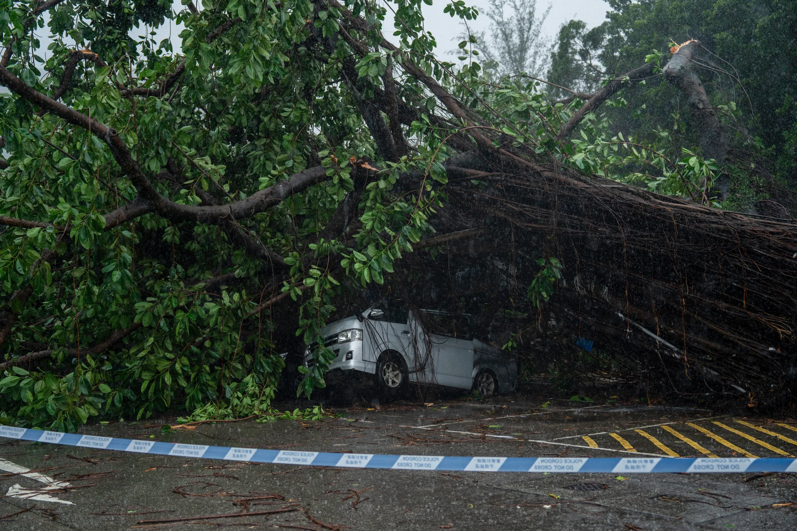 Typhoon Wipha topples trees and causes major flight disruptions in Hong ...