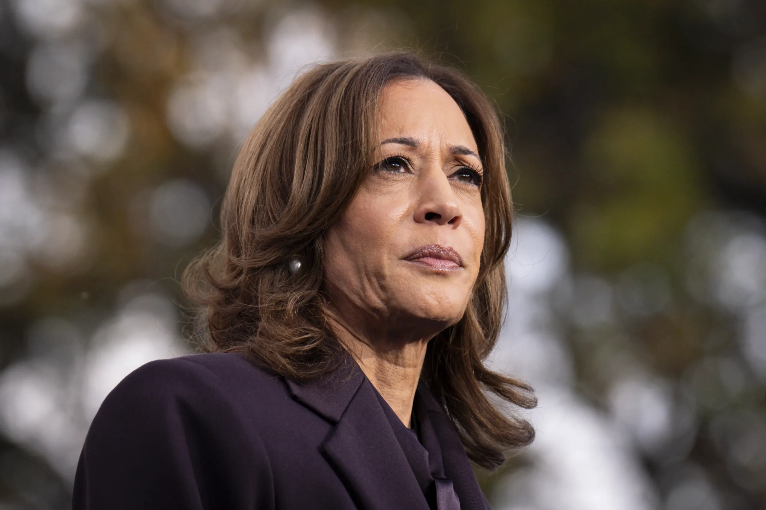 Former Vice President Kamala Harris says she will not run for ...