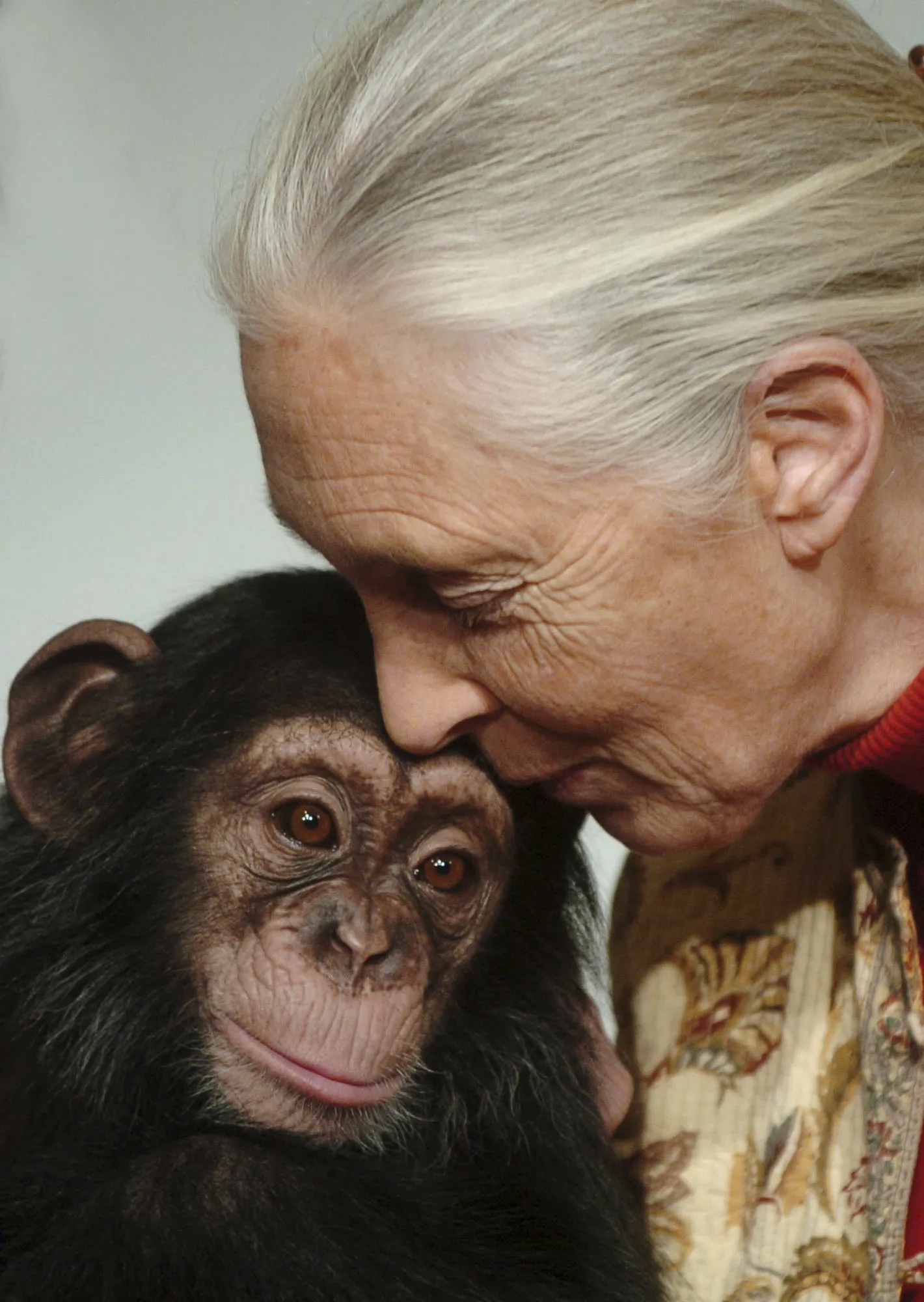 What to know about the life and legacy of chimpanzee researcher and ...