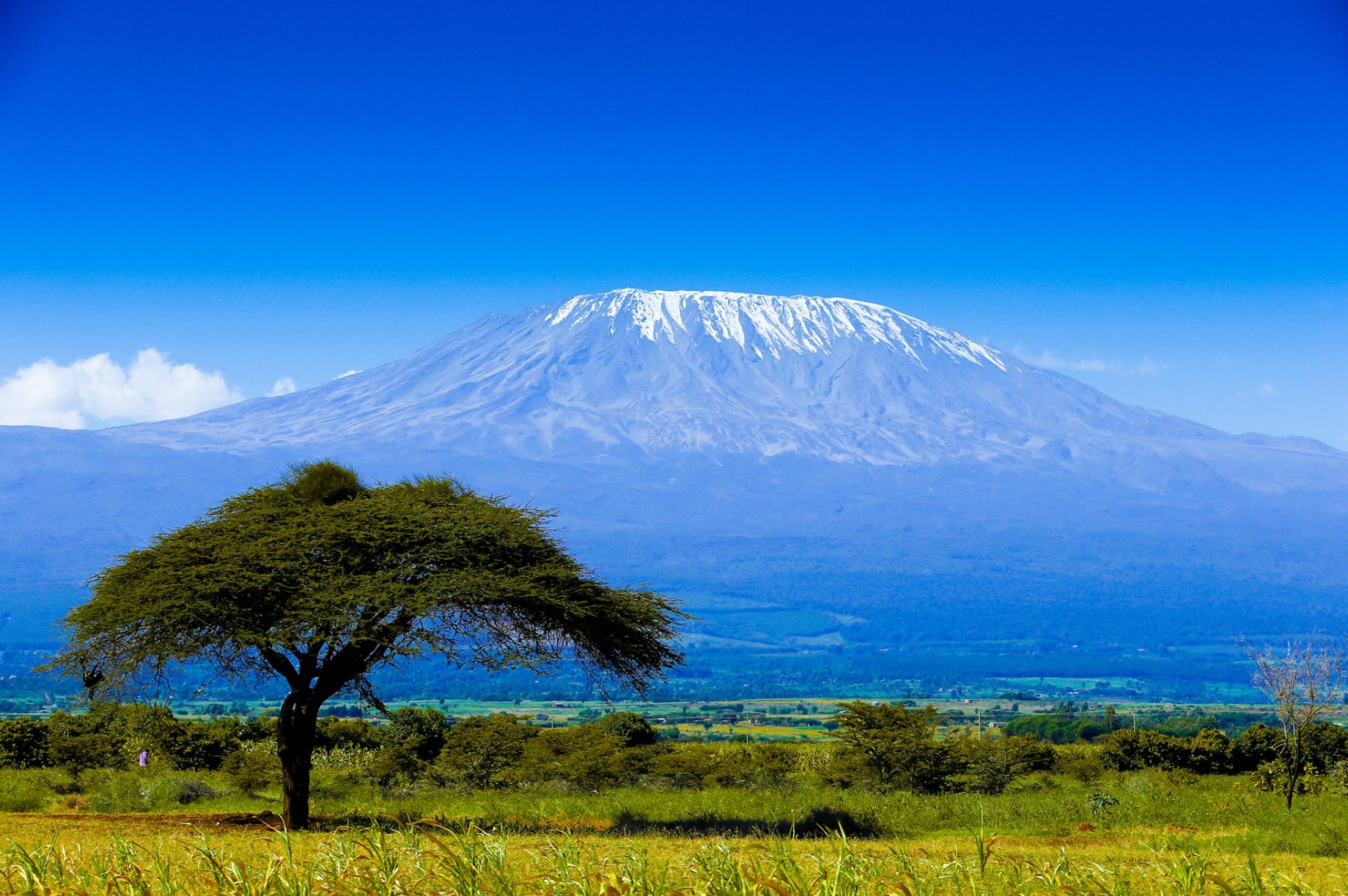 A helicopter on a rescue mission crashes on Tanzania’s Mount ...