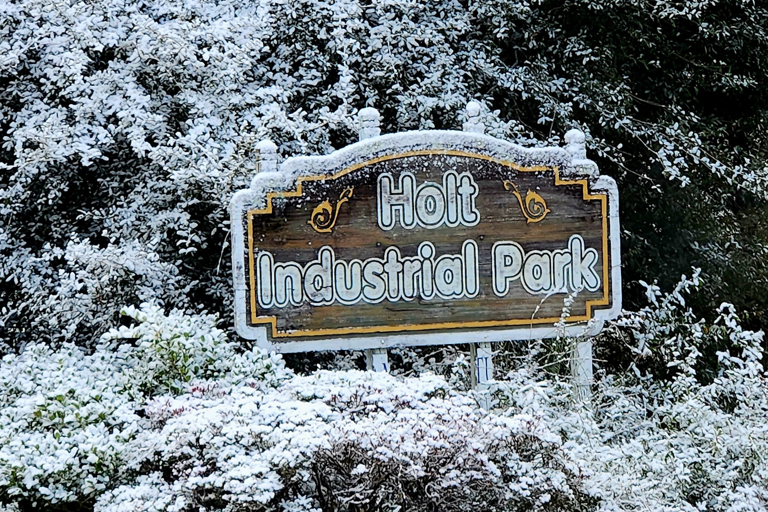 Small part of Sunshine State becomes Snowy State as Florida gets snow ...