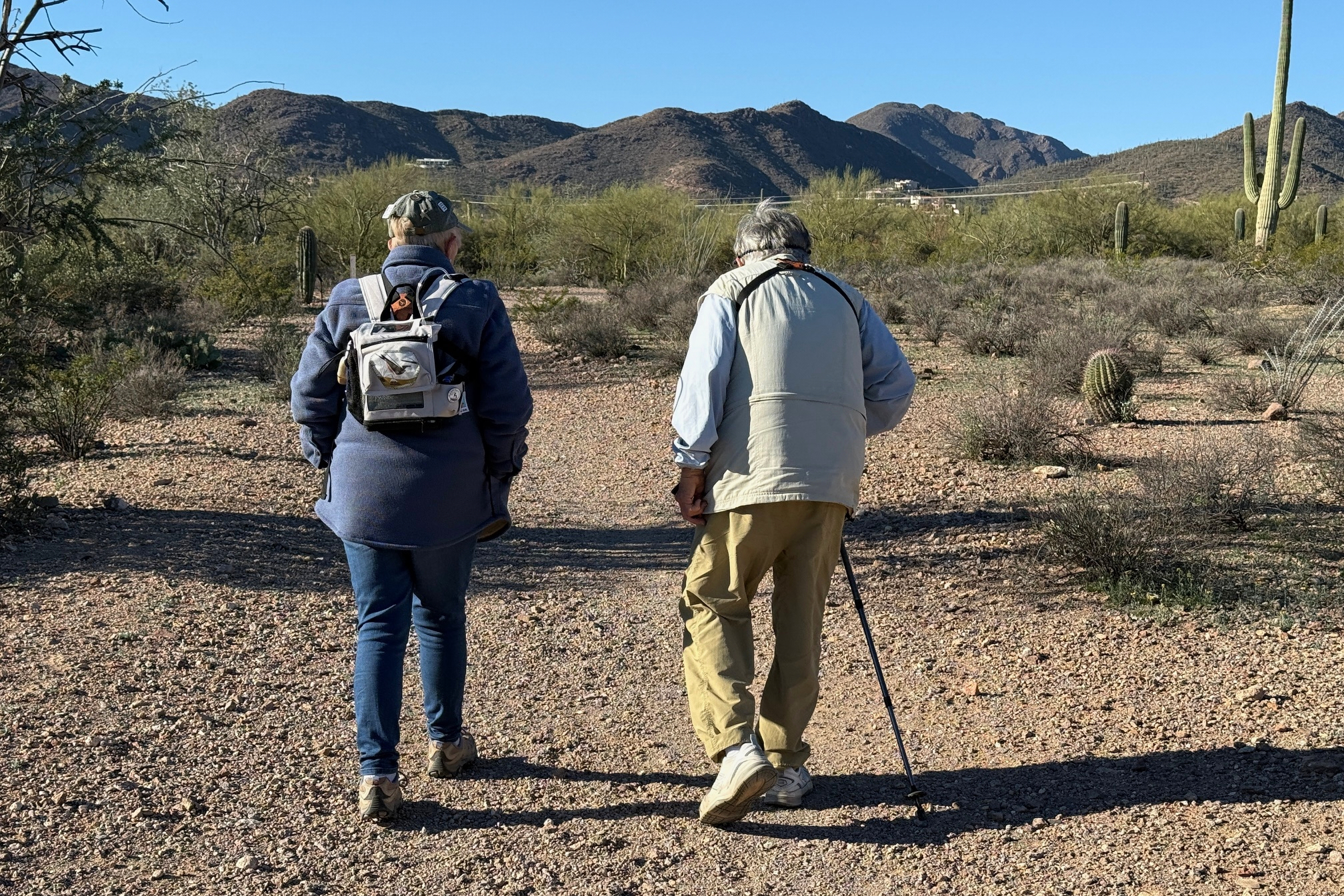 Accessible walks bring the joys of birding to people with mobility and ...