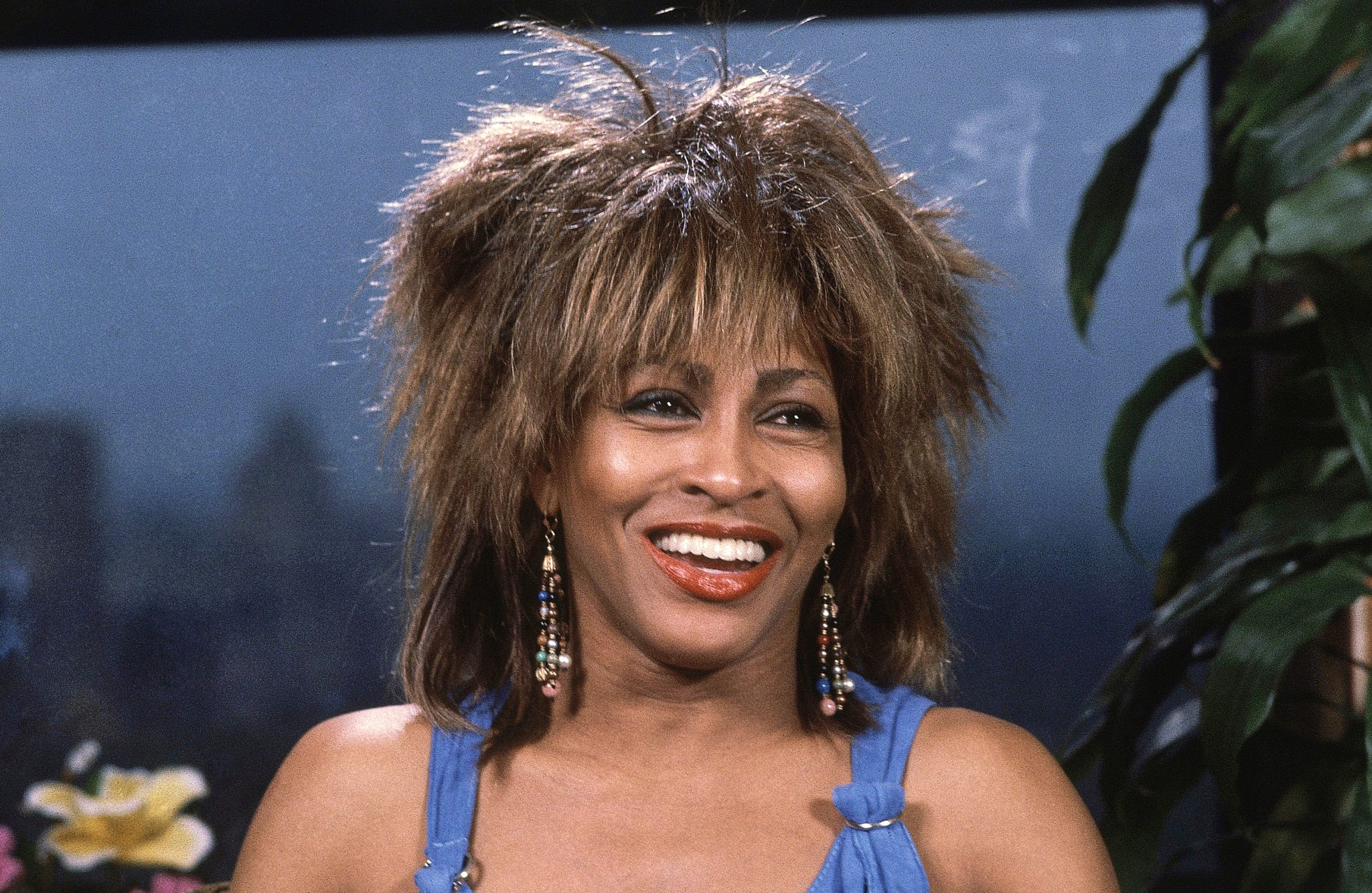 Tina Turner’s name, image, likeness and most music catalog rights ...